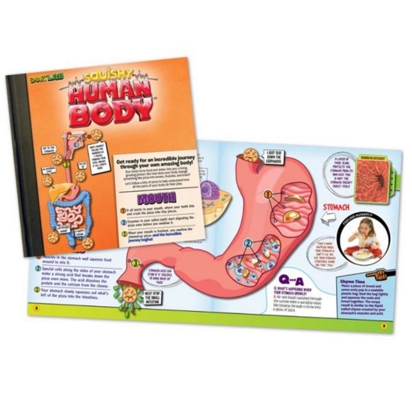 SmartLabs | Toys | Smartlab Stem Squishy Human Body Anatomy Kit | Poshmark